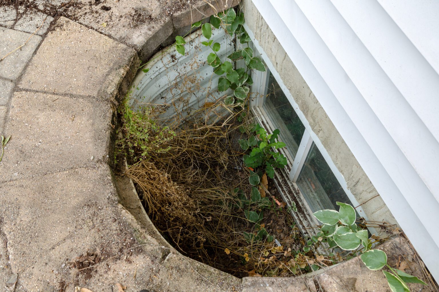 How to Repair Rotten Wood Window Frames: A Hands-On Guide | ThePlywood.com